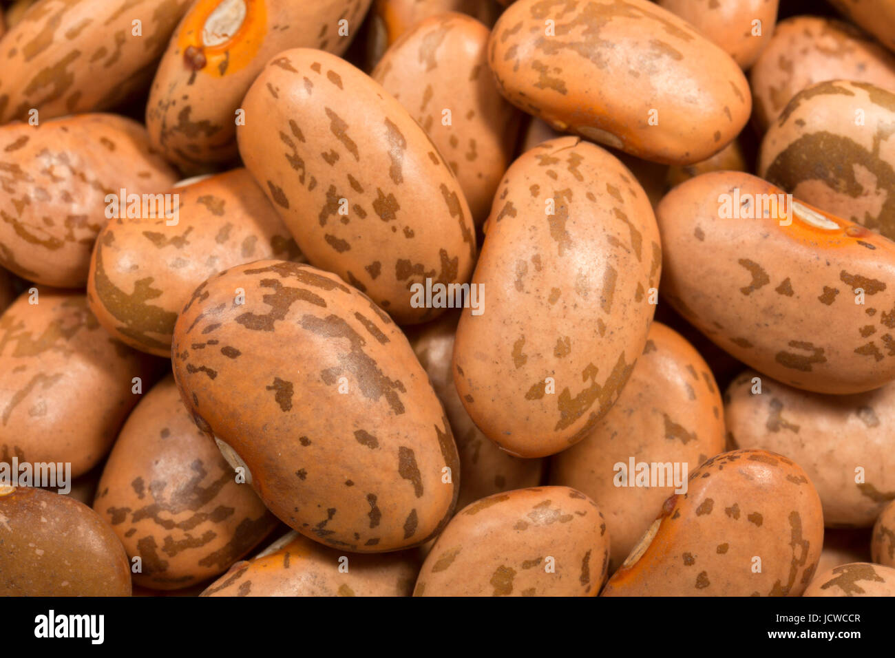 Mottled beans hi-res stock photography and images - Alamy
