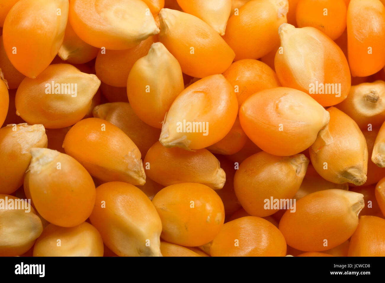 Unpopped popcorn hi-res stock photography and images - Alamy