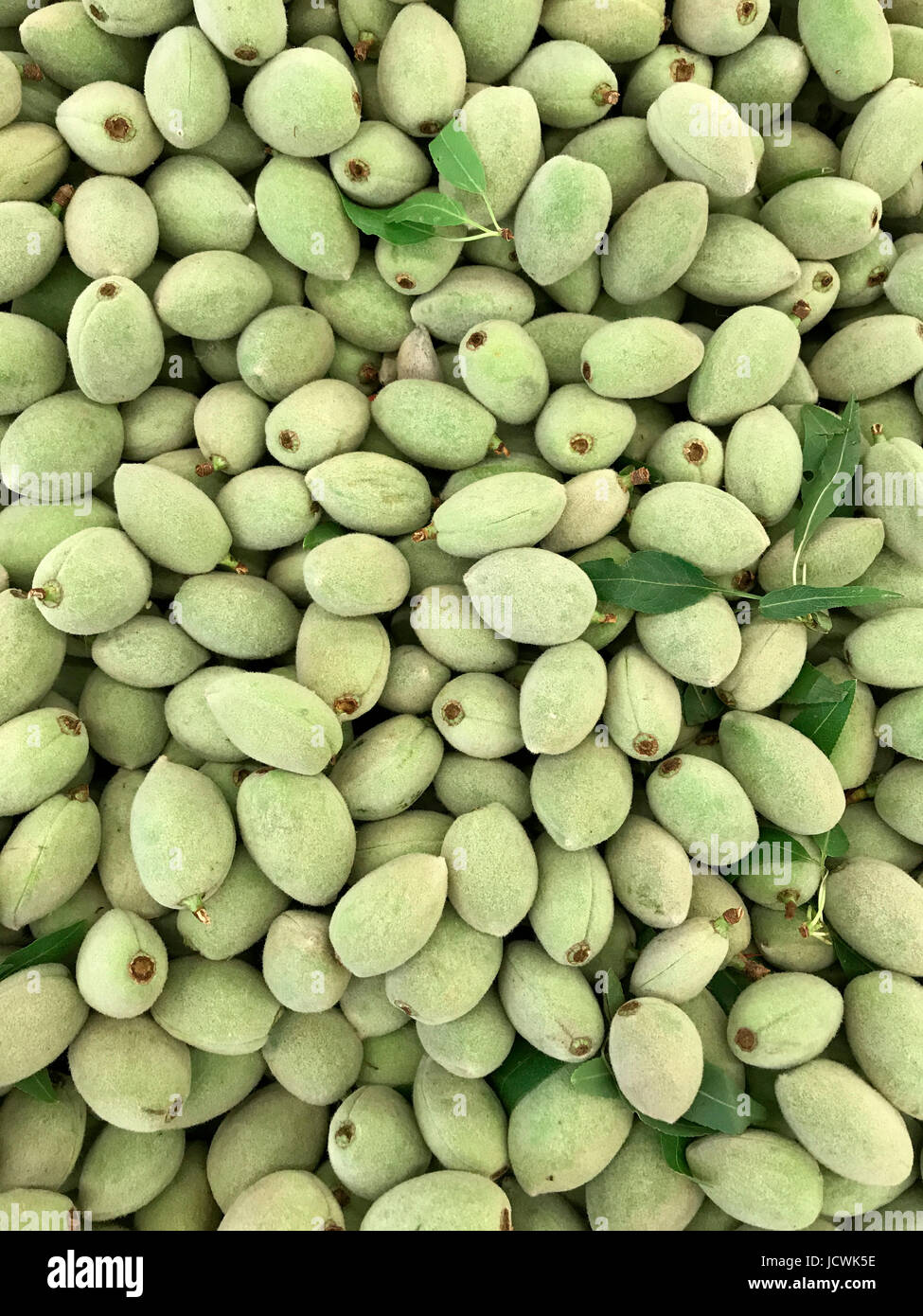 Fresh raw green bitter almonds hi-res stock photography and images - Alamy