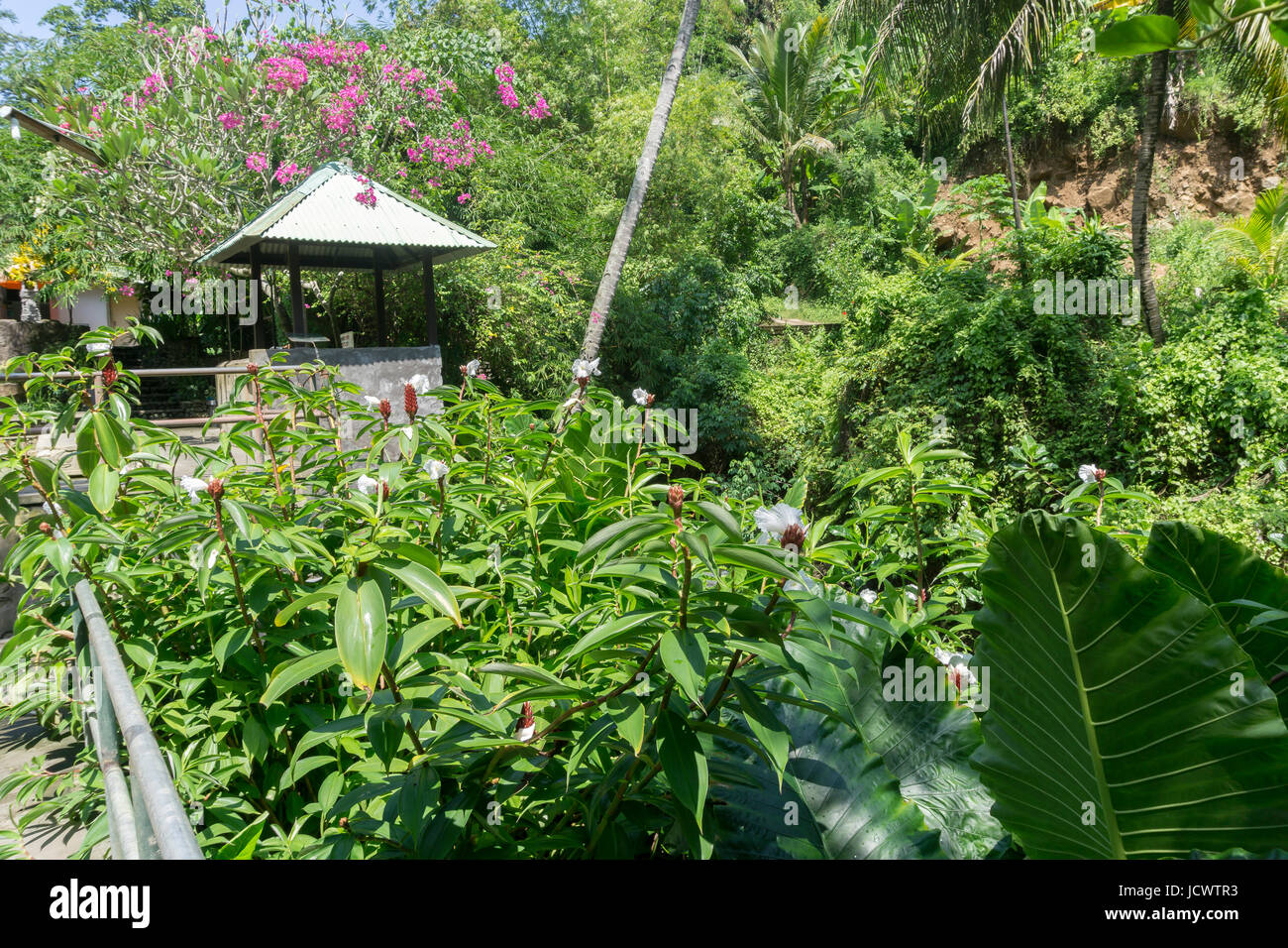 BALI, INDONESIA , CIRCA APRIL 2016. Hot spring Air Panas Banjar ...