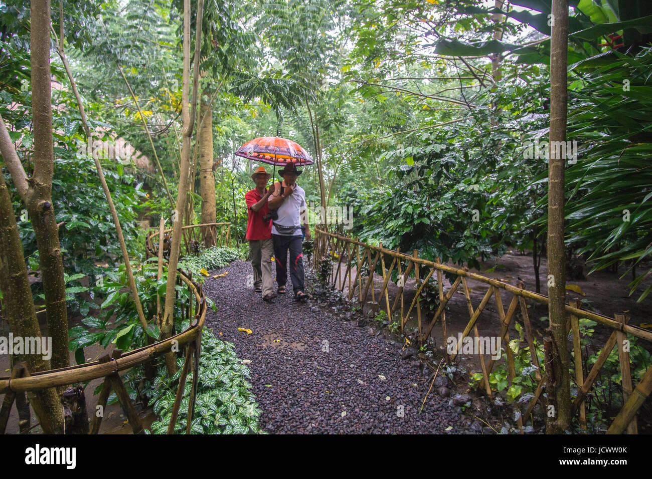 Summer greeny hi-res stock photography and images - Alamy