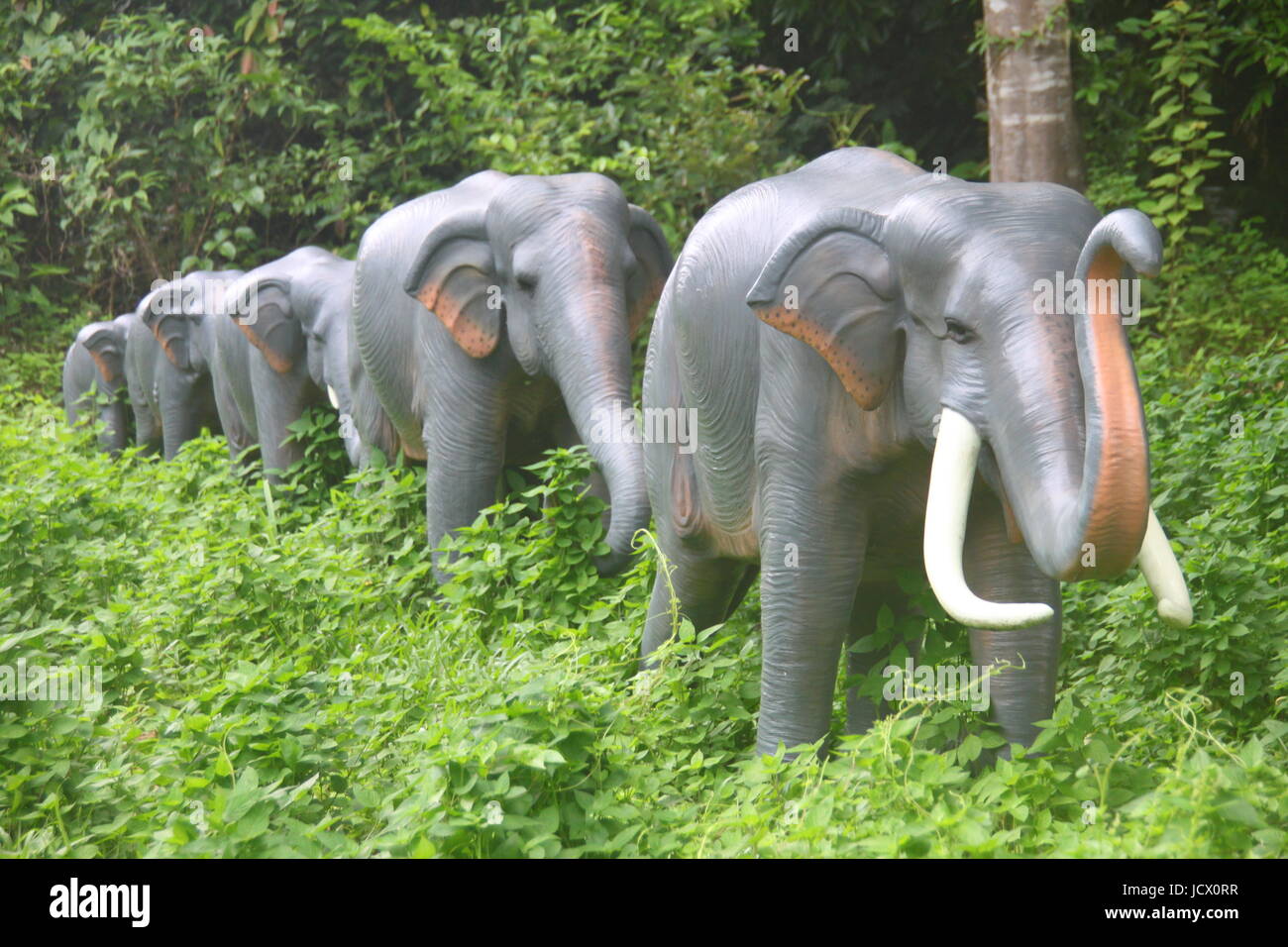 Elephants on Koh Chang, Thailand Stock Photo - Alamy