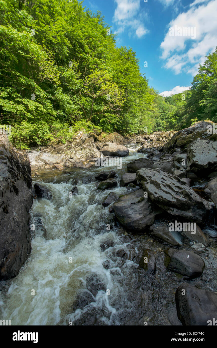 Afon Conwy - the river Conway near conway Falls, Betws y Coed in North ...