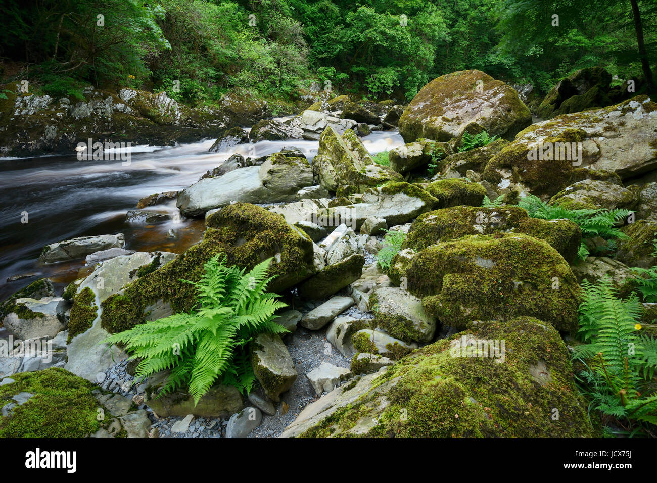 Afon Conwy - the river Conway near conway Falls, Betws y Coed in North ...