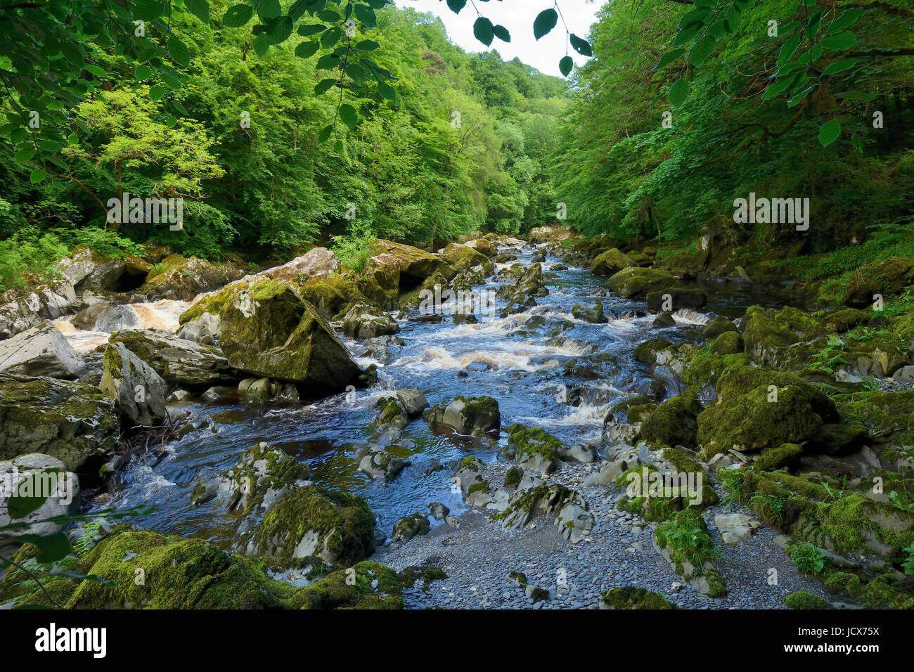 Afon Conwy - the river Conway near conway Falls, Betws y Coed in North ...