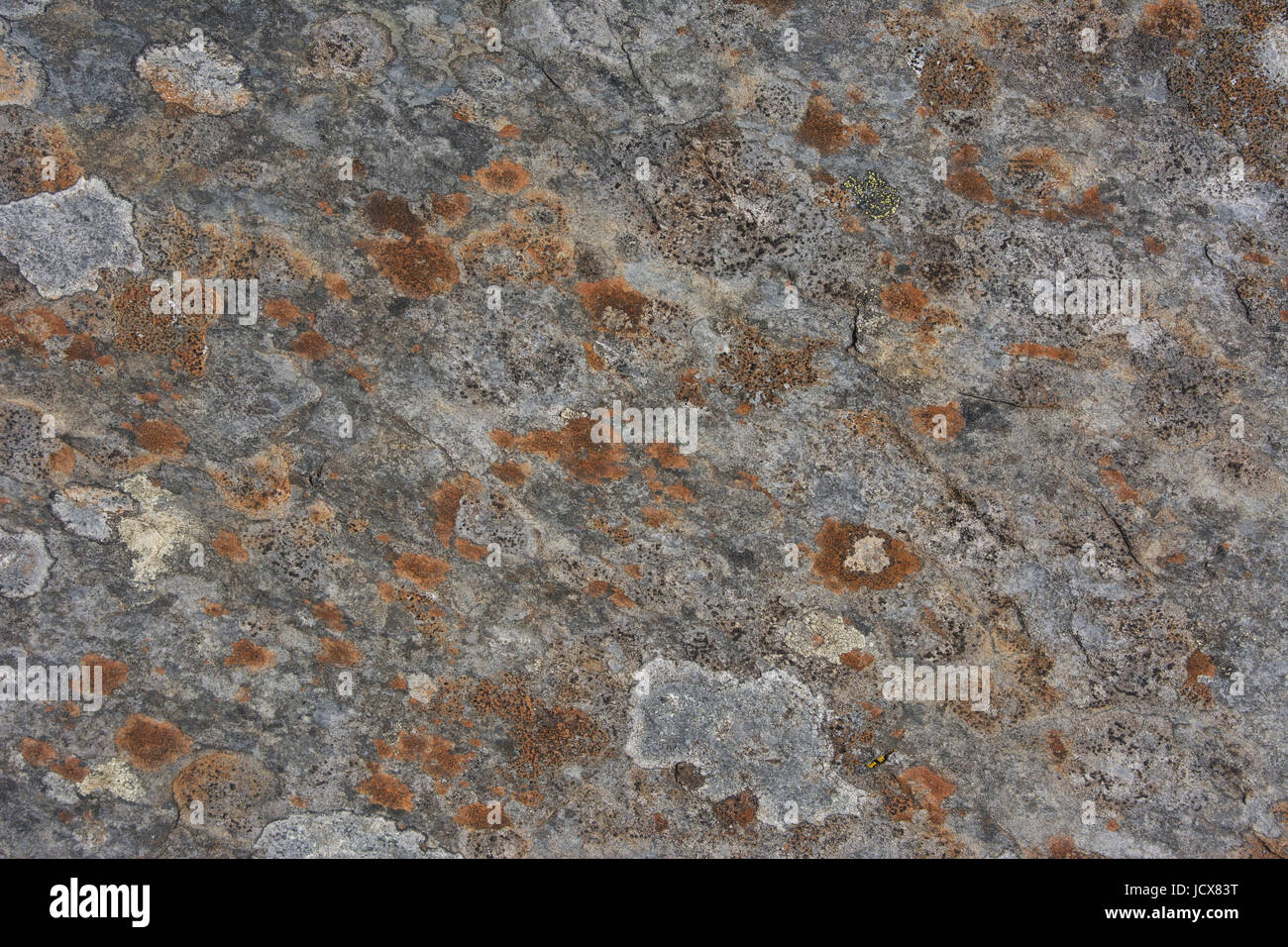 Rock and lichen patterns and textures for background images Stock Photo ...