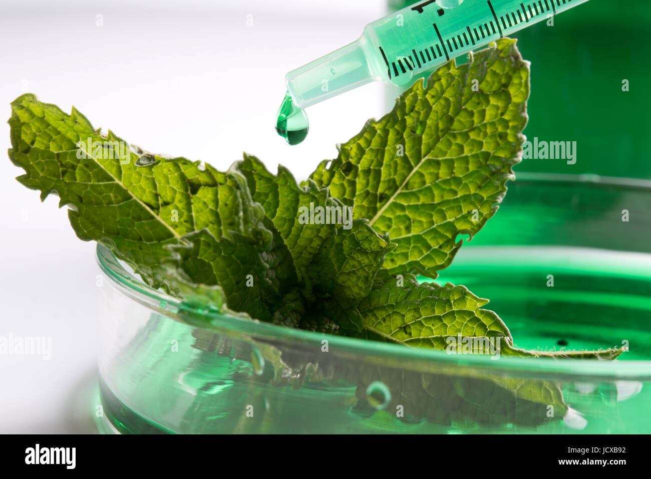 Plant pathology hi-res stock photography and images - Alamy