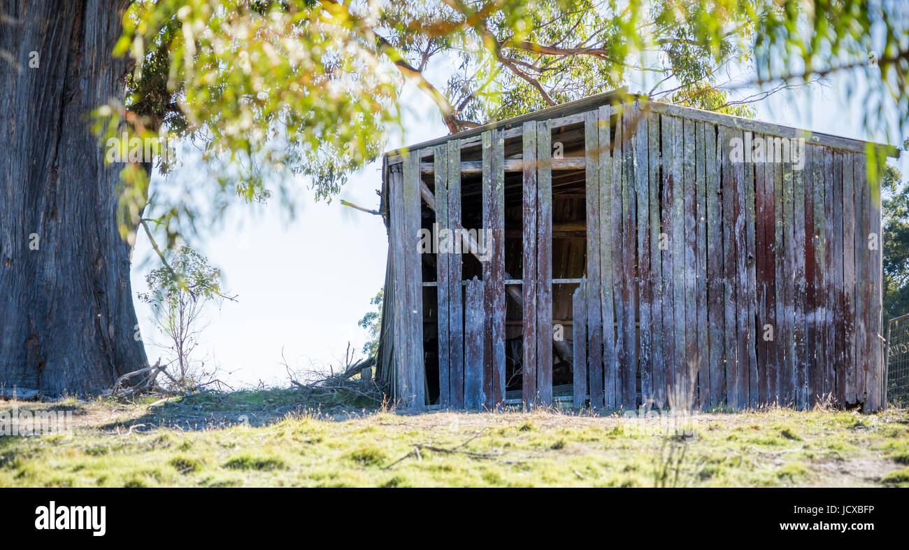 Australian barn hi-res stock photography and images - Alamy