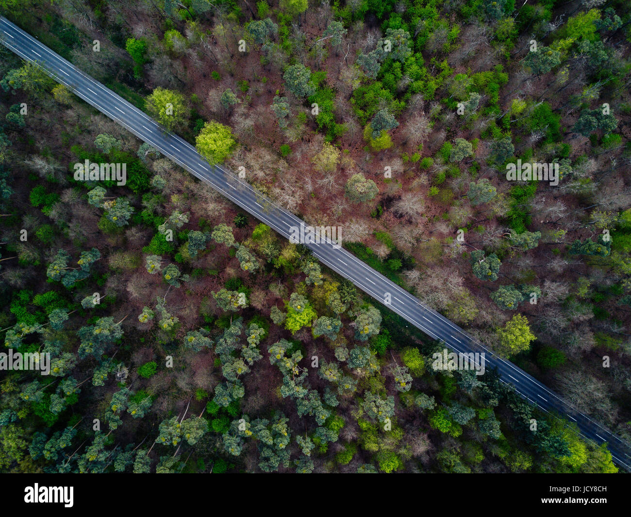 Road Going Through Forest Landscape, Aerial View Stock Photo - Alamy