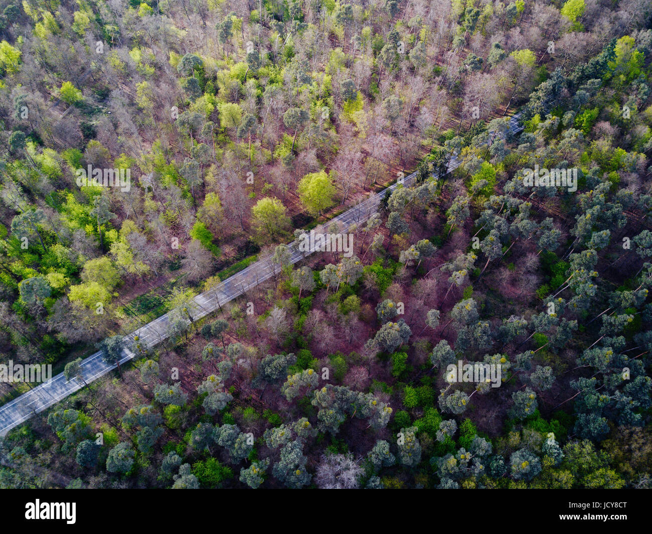 Road Going Through Forest Landscape, Aerial View Stock Photo - Alamy