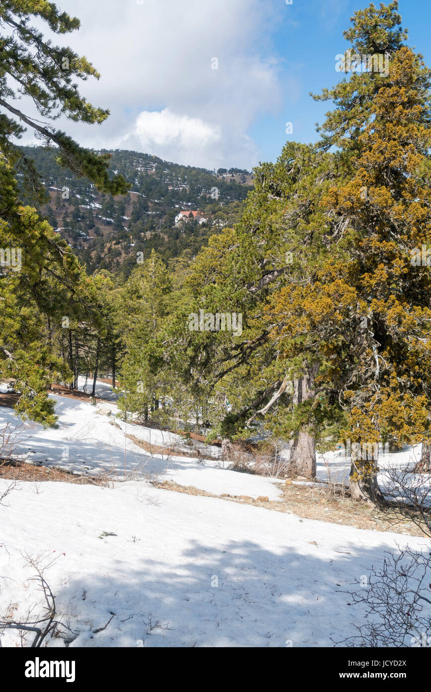 Troodos near square, snow, Limassol district, Paphos, Cyprus Stock ...