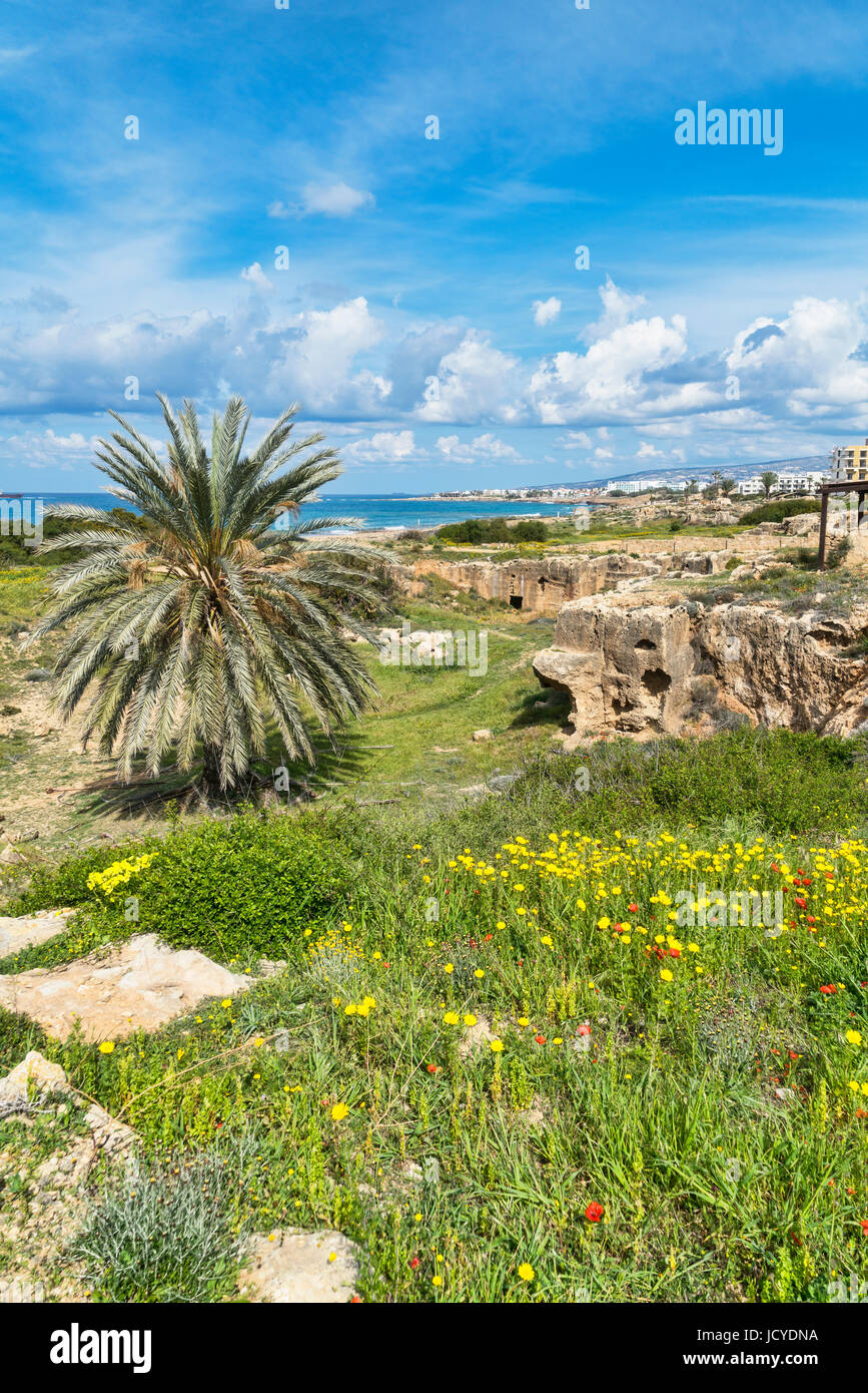 Tombs of Kings, Paphos, Kato Pafos, Cyprus Stock Photo - Alamy