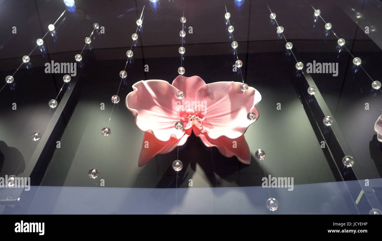 reflection of buildings in a shop window with a beautiful decorative ...