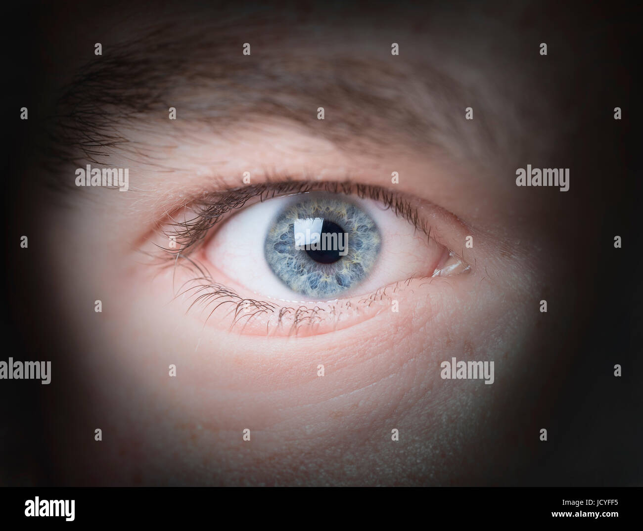 Human eyes hi-res stock photography and images - Alamy