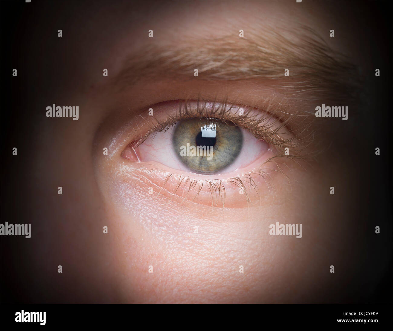 Human Skin Scan High Resolution Stock Photography and Images - Alamy