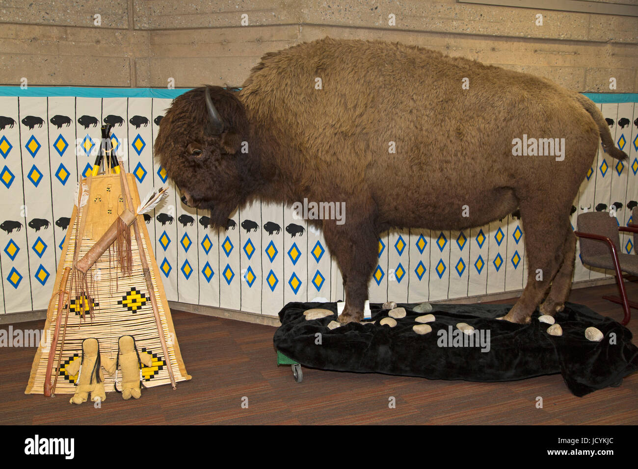 Stuffed buffalo head hi-res stock photography and images - Alamy