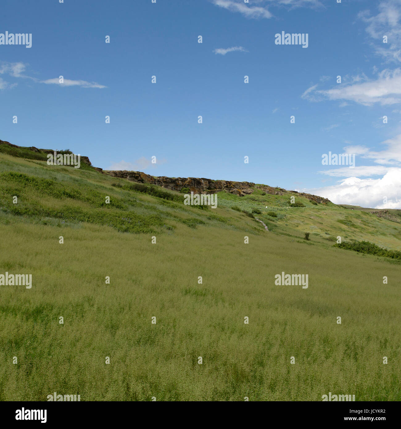 The cliffs at Head-Smashed-In Buffalo Jump in Alberta, Canada. The ...
