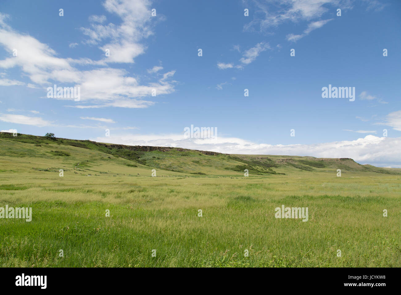 National historic site in buffalo hi-res stock photography and images ...