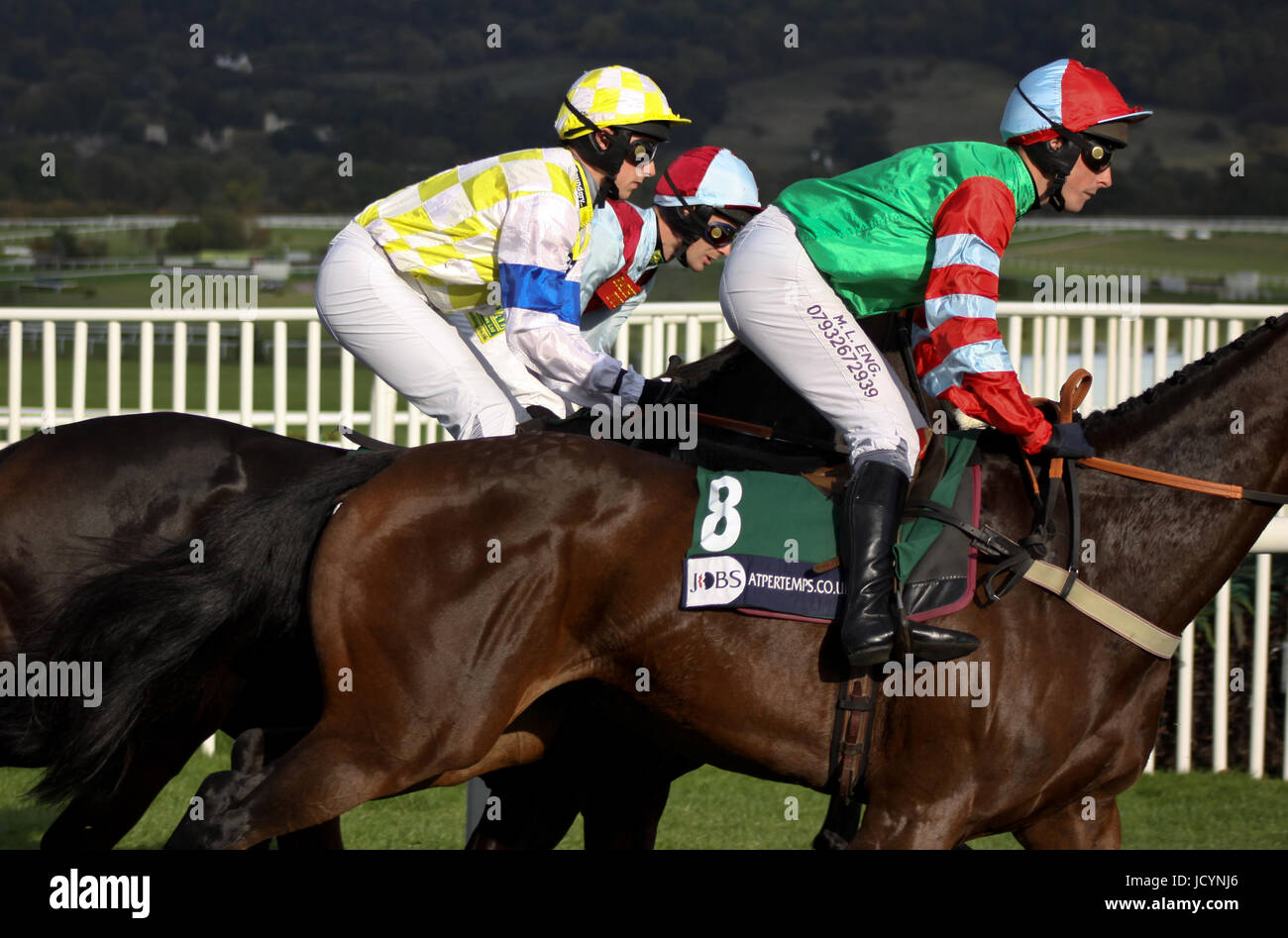 Horseracing cheltenham festival hi-res stock photography and images - Alamy