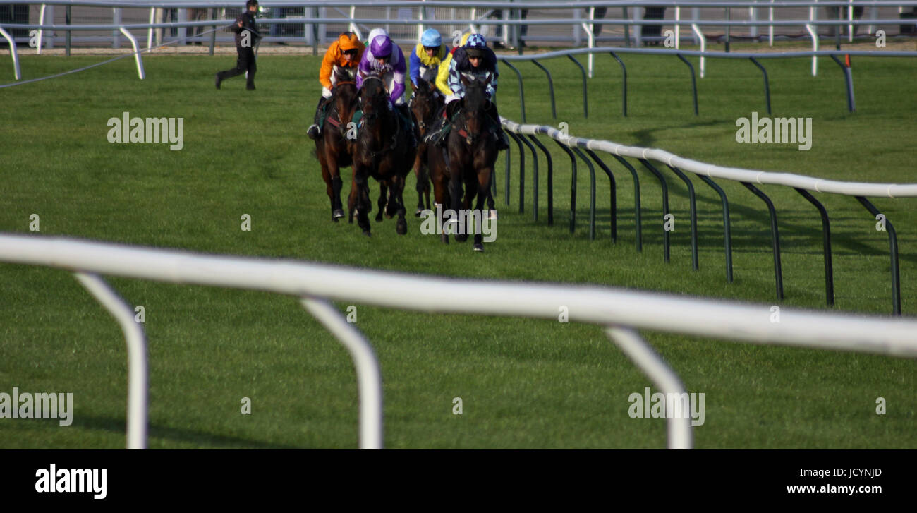 Horseracing cheltenham hi-res stock photography and images - Alamy