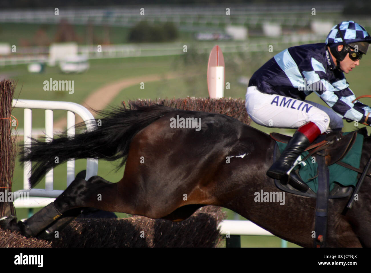 Cheltenham racecourse hi-res stock photography and images - Alamy