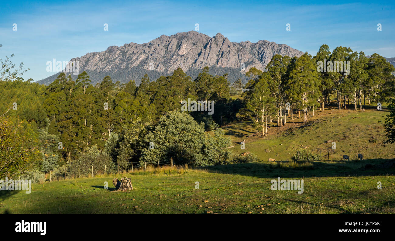 A view of Mt Roland in the north of Tasmania Australia Stock Photo - Alamy