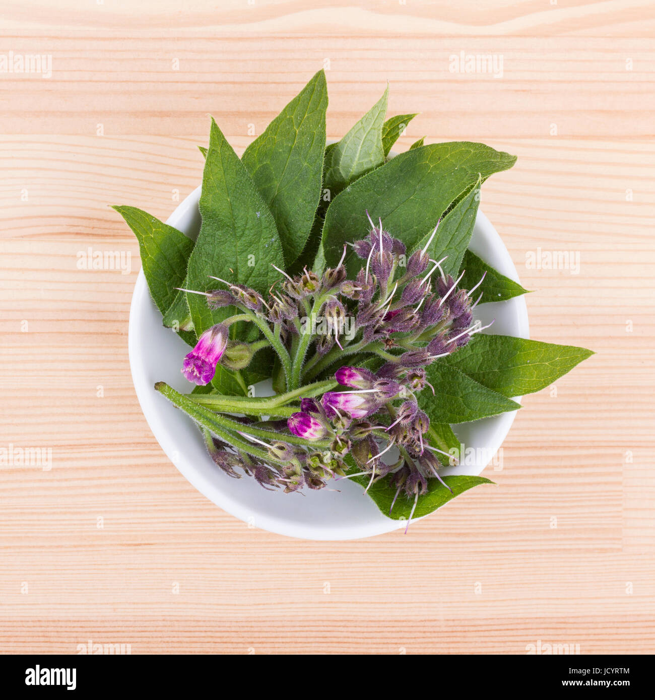 Comfrey leaves hi-res stock photography and images - Alamy