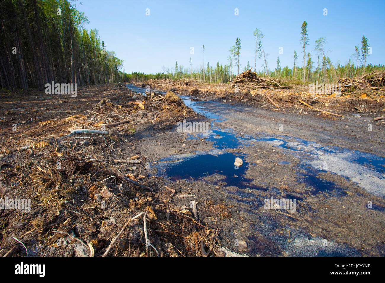 Muddy road and scarred land after logging in Saskatchewan Canada Stock ...