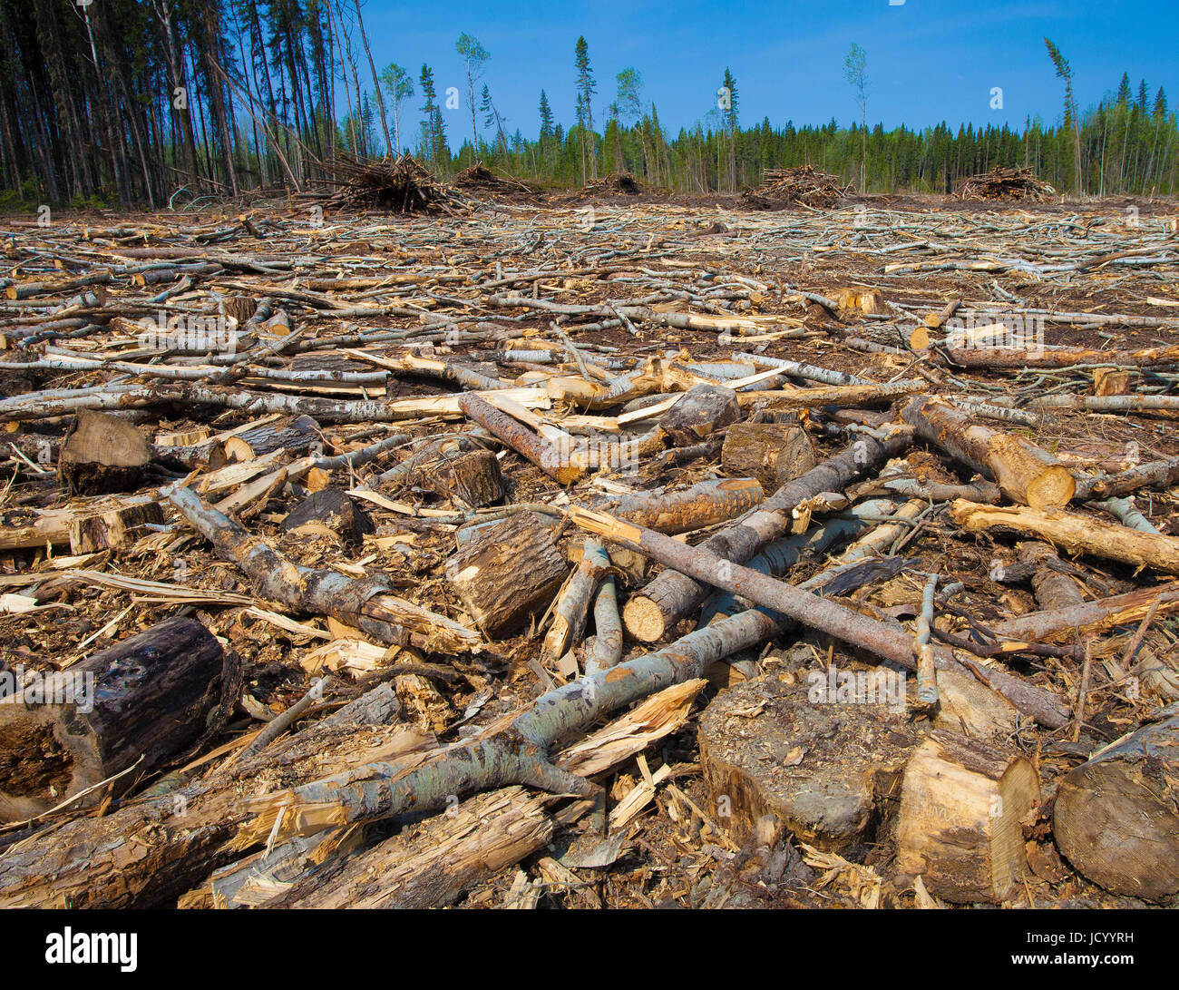 Northern saskatchewan hi-res stock photography and images - Alamy
