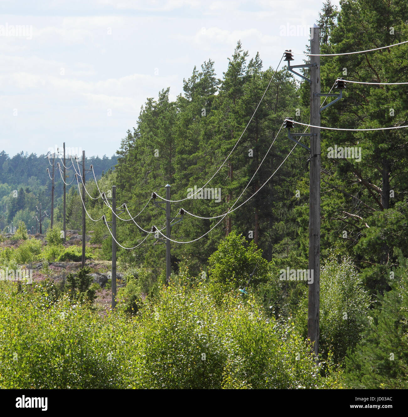 Power line in forrest Stock Photo - Alamy