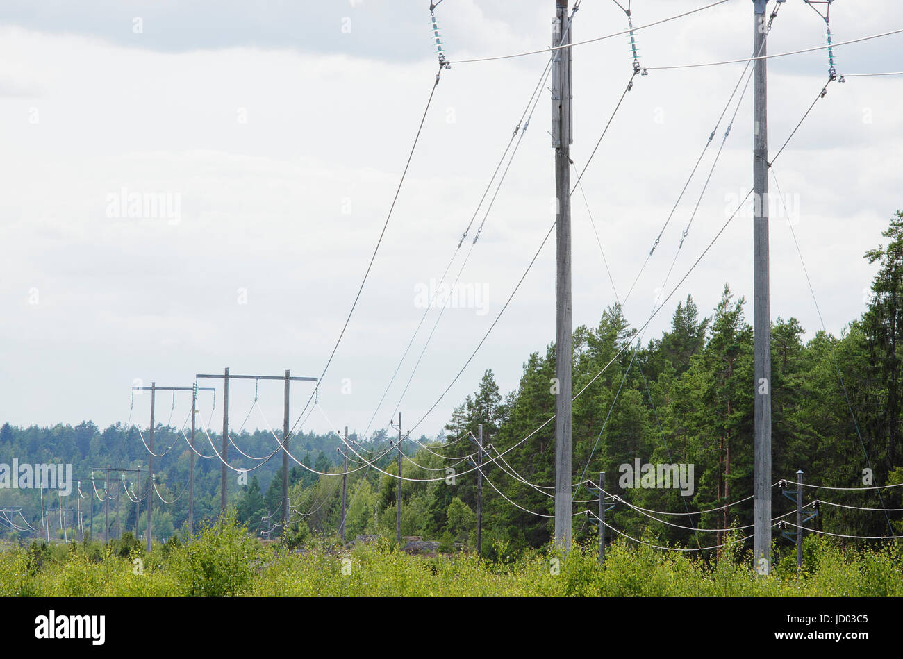 Power line in forrest Stock Photo - Alamy