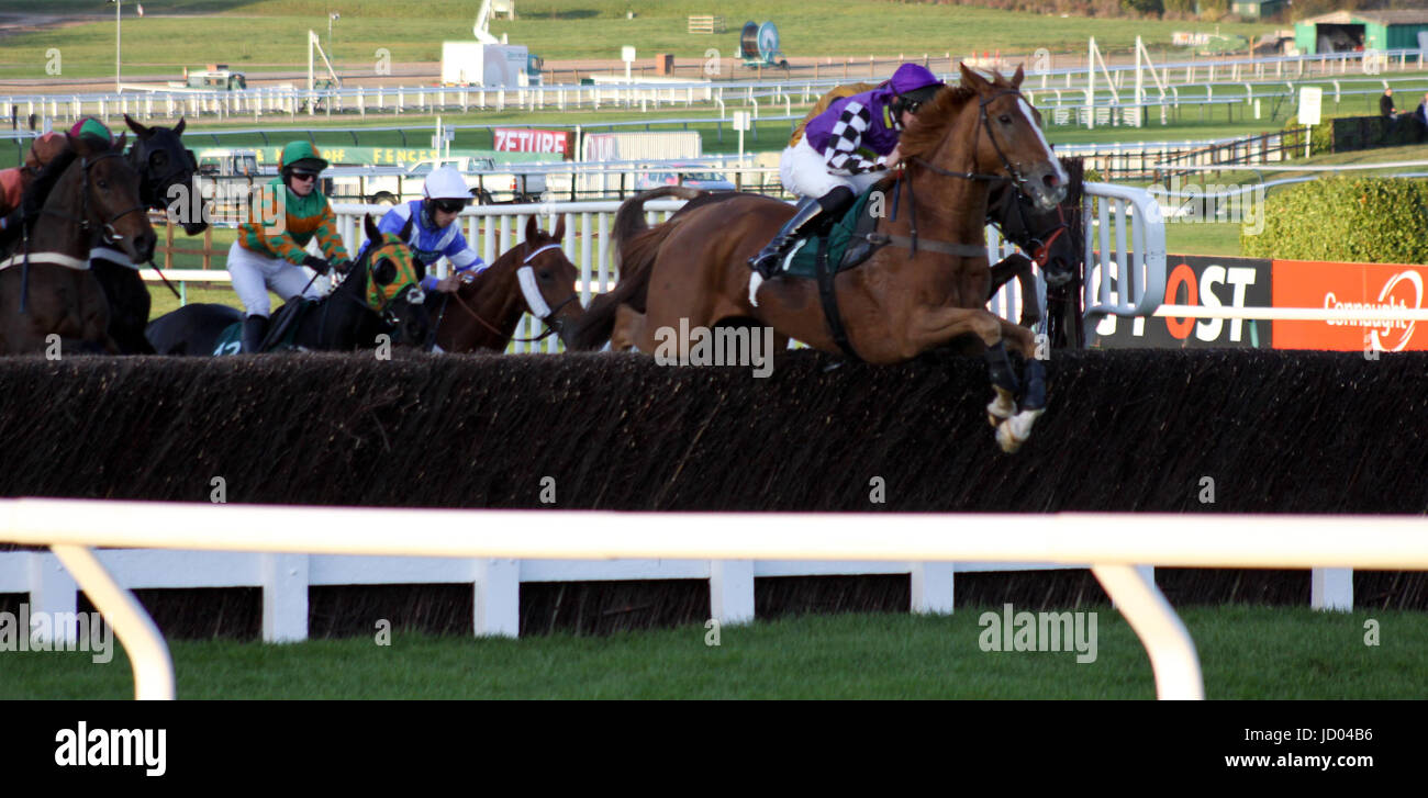 Horseracing cheltenham festival hi-res stock photography and images - Alamy