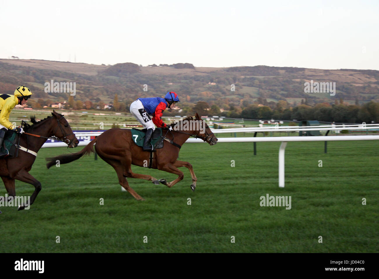 Jump jockeys racing at Cheltenham racecoure Stock Photo - Alamy