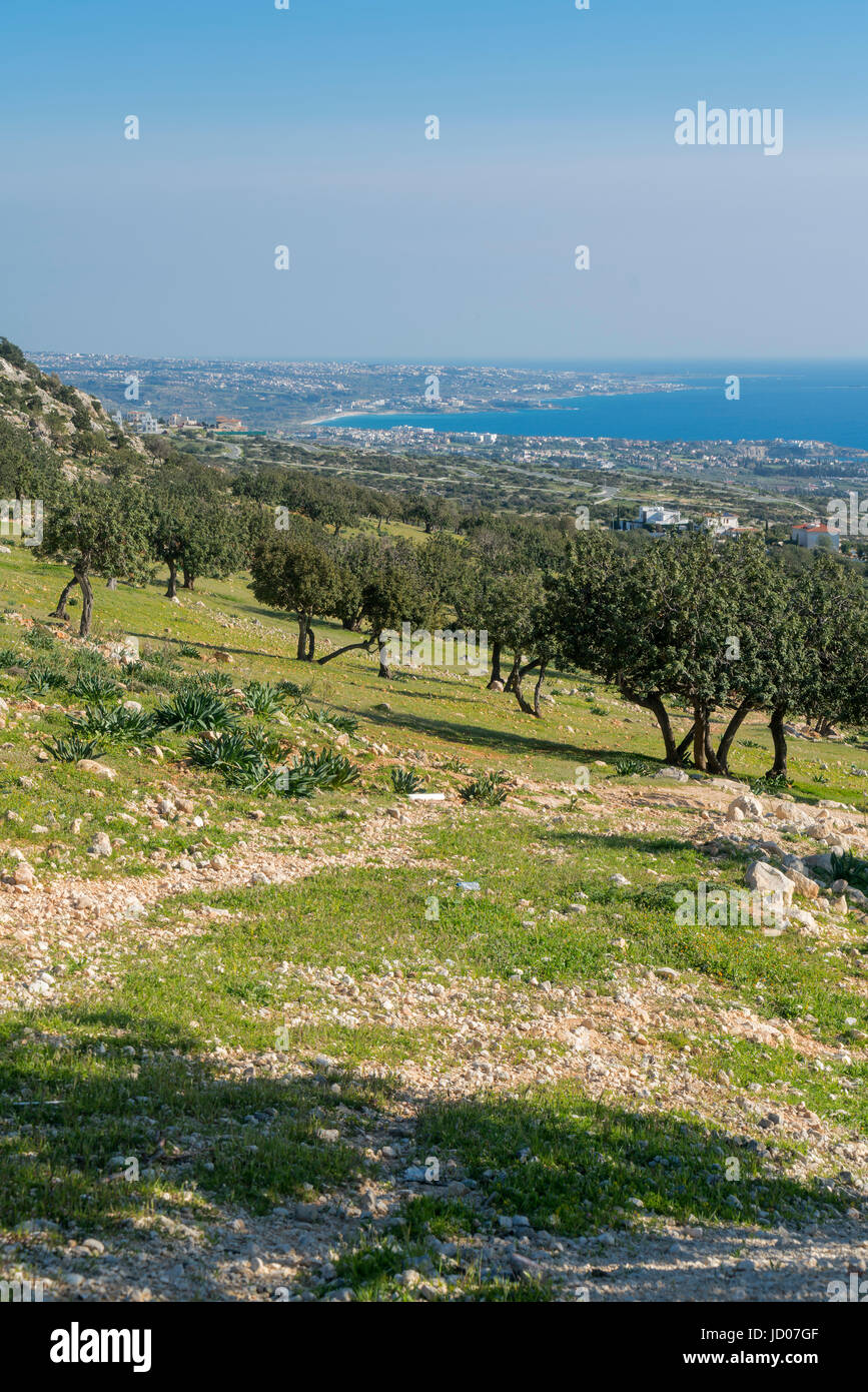 Paphos aerial view hi-res stock photography and images - Alamy