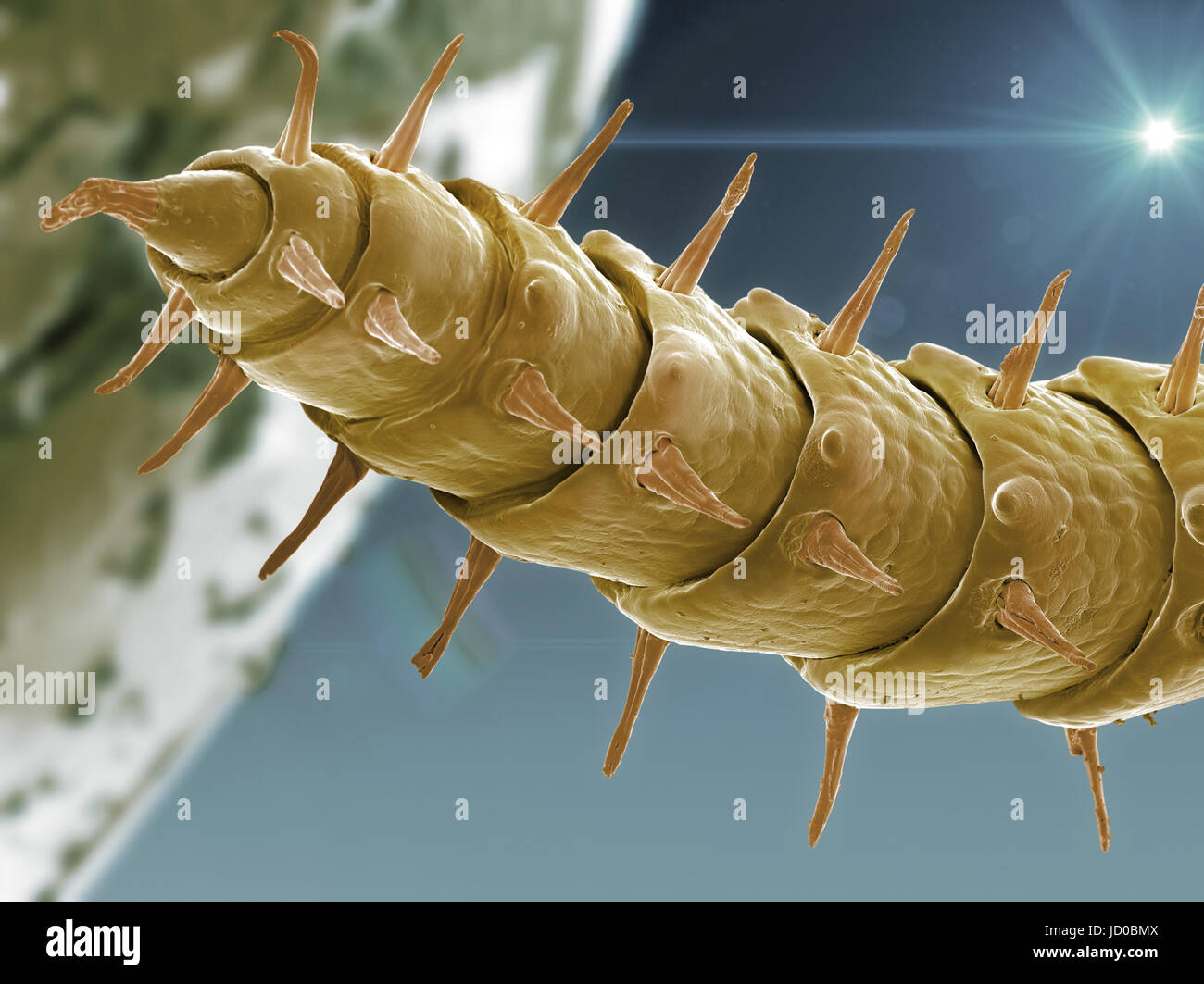 Scanning Electron Microscope Image High Resolution Stock Photography ...