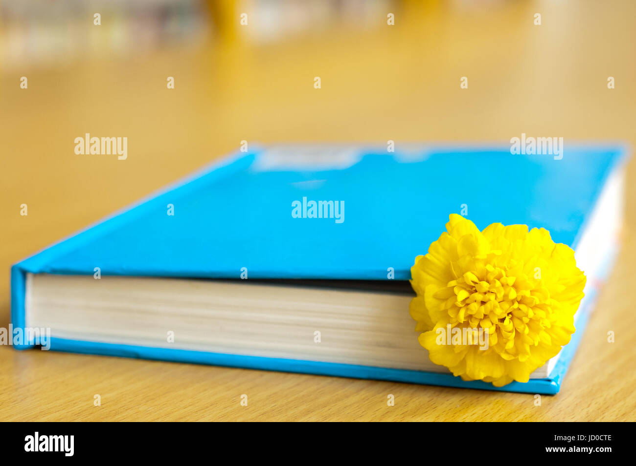 Books and chrysanthemum (knowledge is like flowers Stock Photo - Alamy