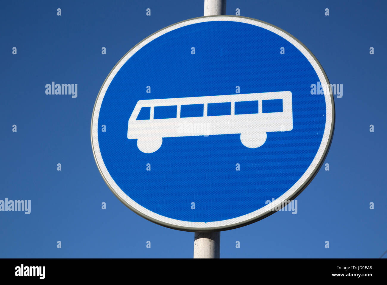 Blue Bus Stop Sign