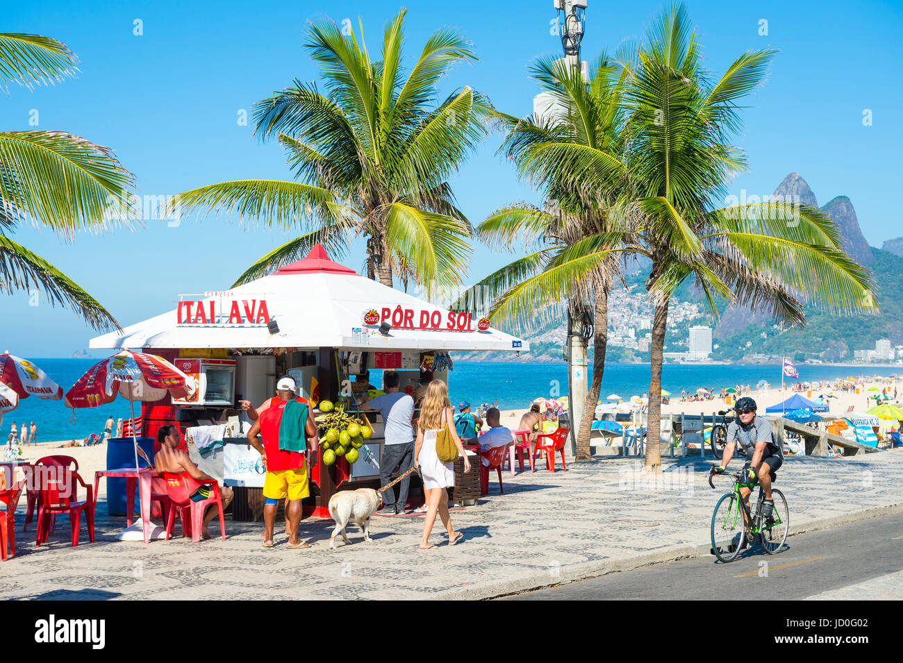 Coconuts palm tree of brazil hi-res stock photography and images - Alamy