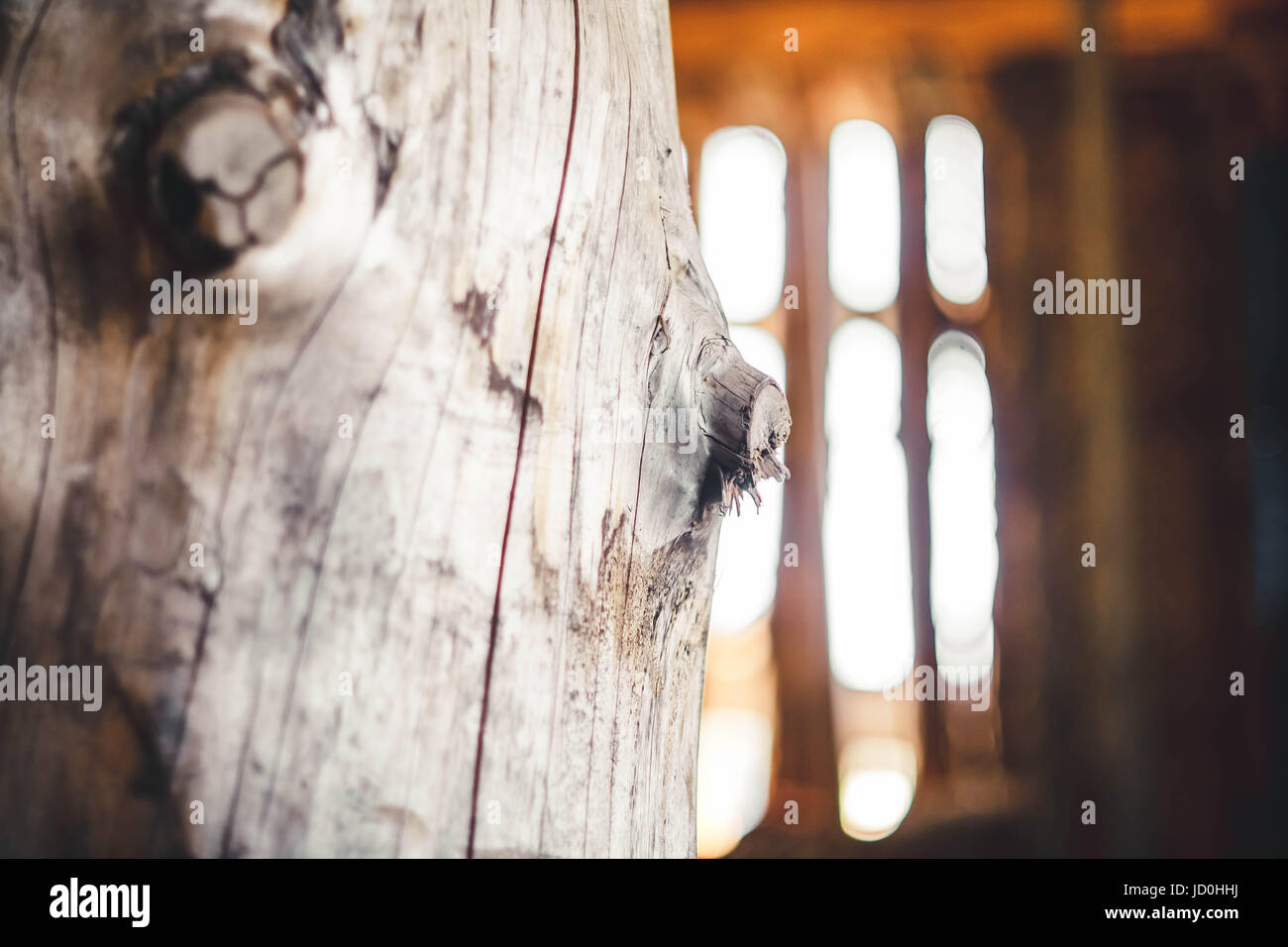 The trunk of the Great old tree without bark Stock Photo - Alamy