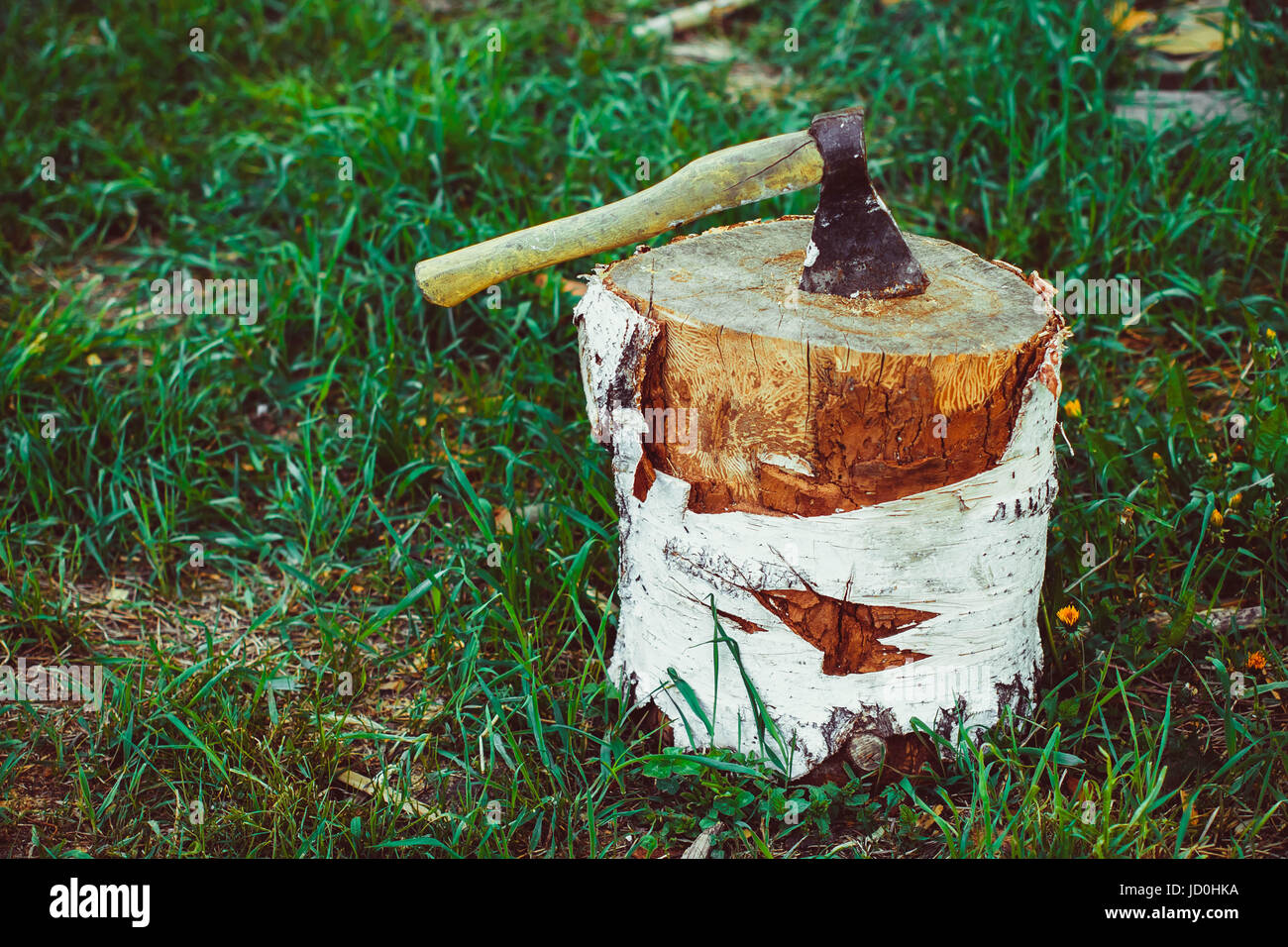 Ax in a log standing on a grass Stock Photo - Alamy