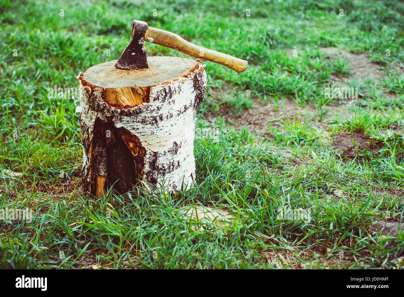 Ax in a log standing on a grass Stock Photo - Alamy