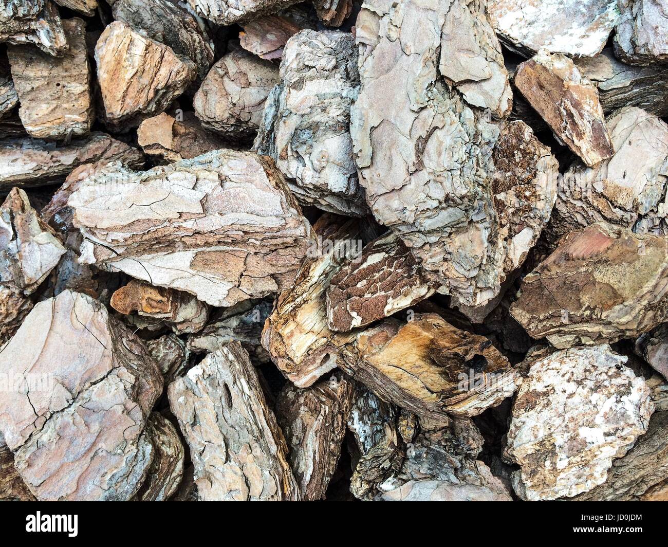 Dry pine bark Stock Photo - Alamy