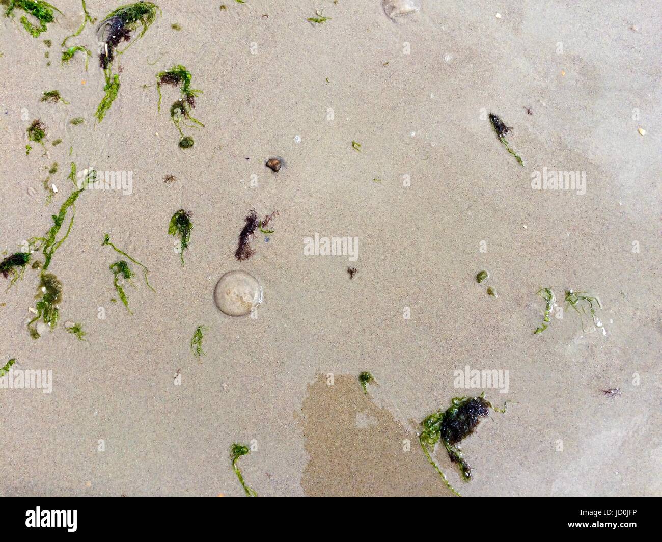 Yellow sea sand hi-res stock photography and images - Alamy