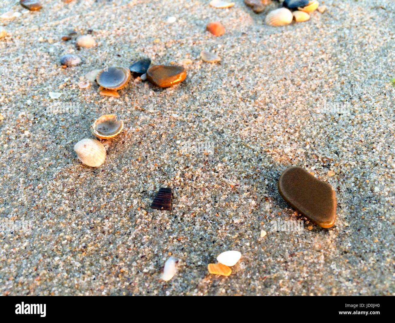 Sand stones shells texture hi-res stock photography and images - Alamy