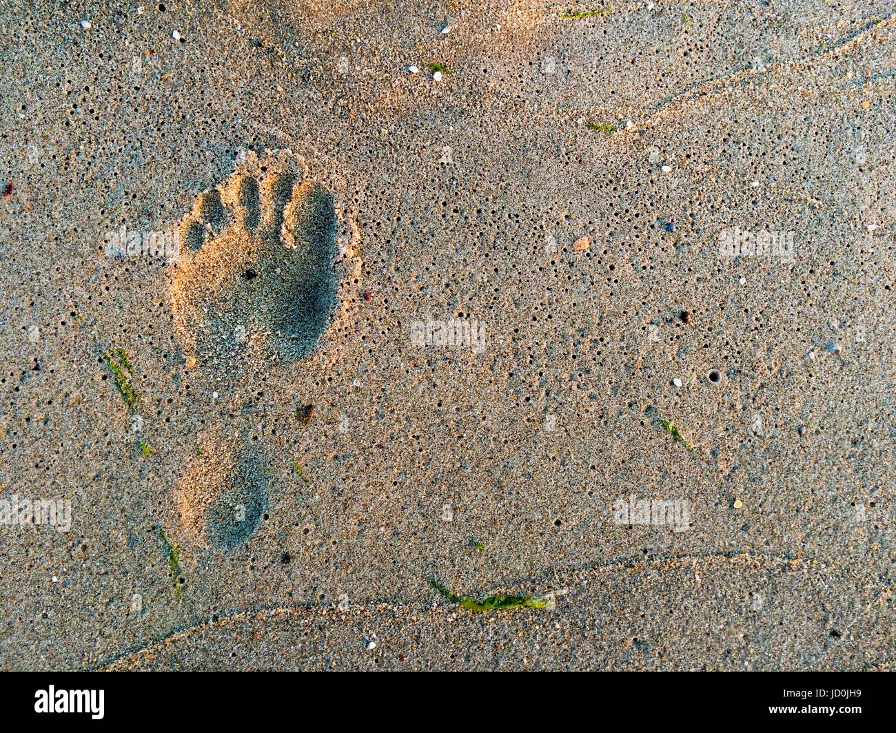 Yellow sea sand hi-res stock photography and images - Alamy
