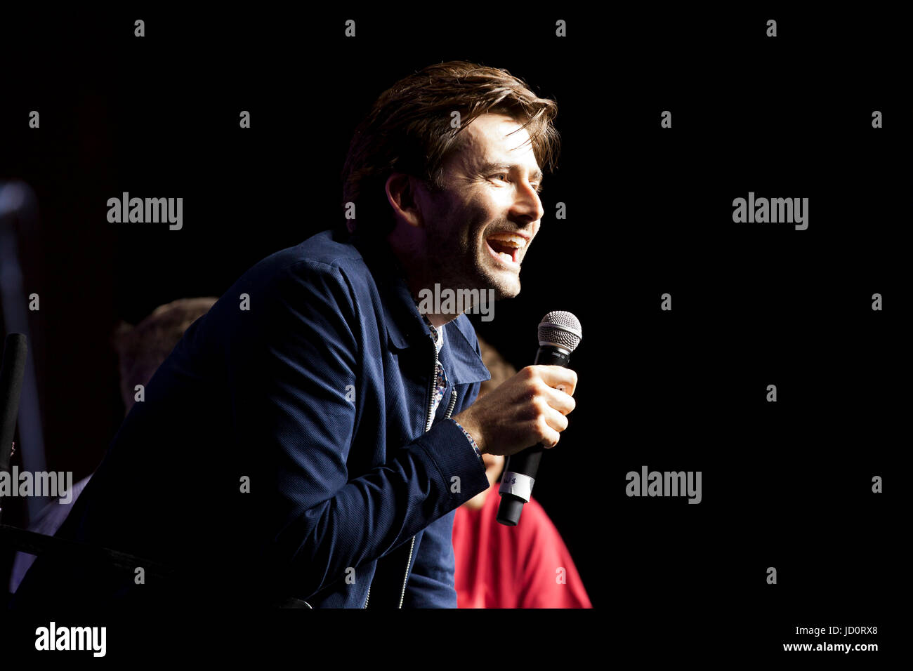 Washington DC, USA. 17th June, 2017. Scottish actor David Tennant ...