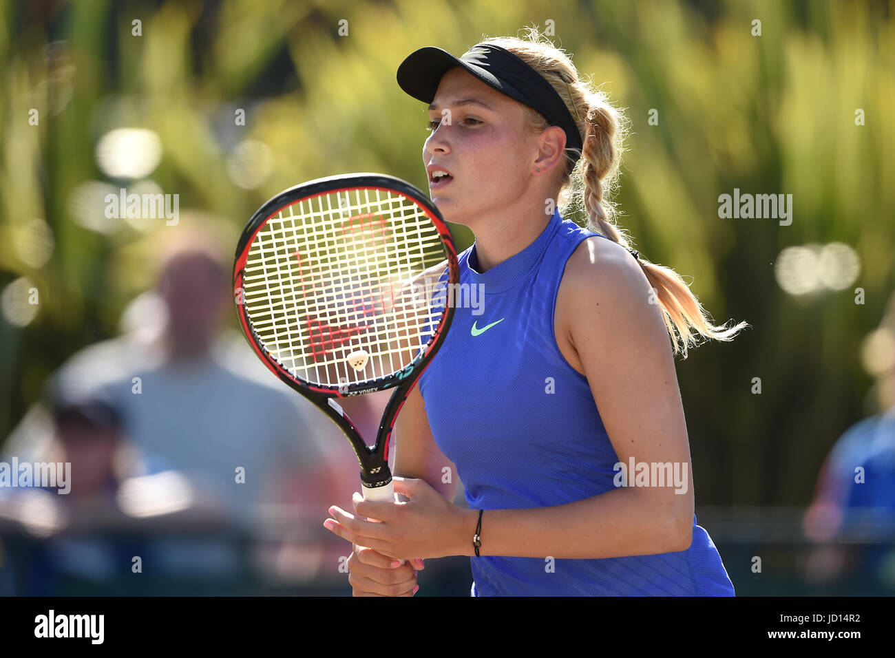 Donna vekic hi-res stock photography and images - Alamy