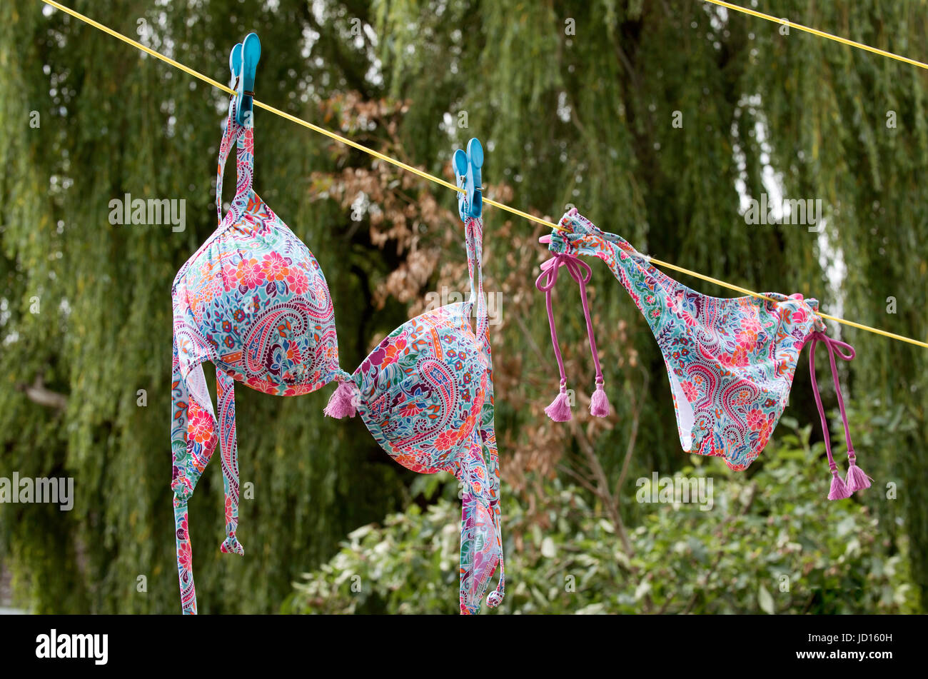 Bikini line hi-res stock photography and images - Alamy