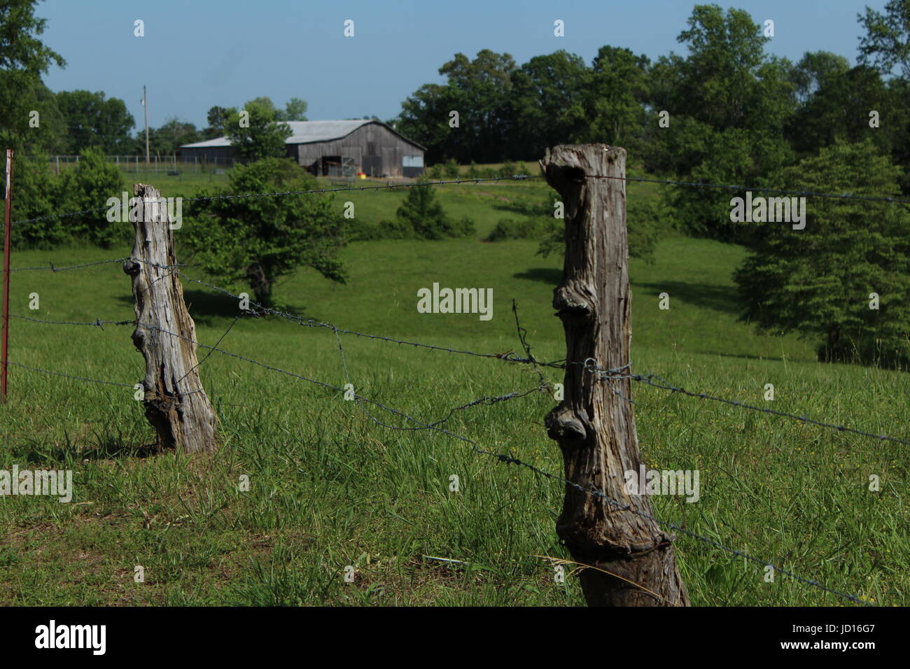 Out in the country Stock Photo - Alamy