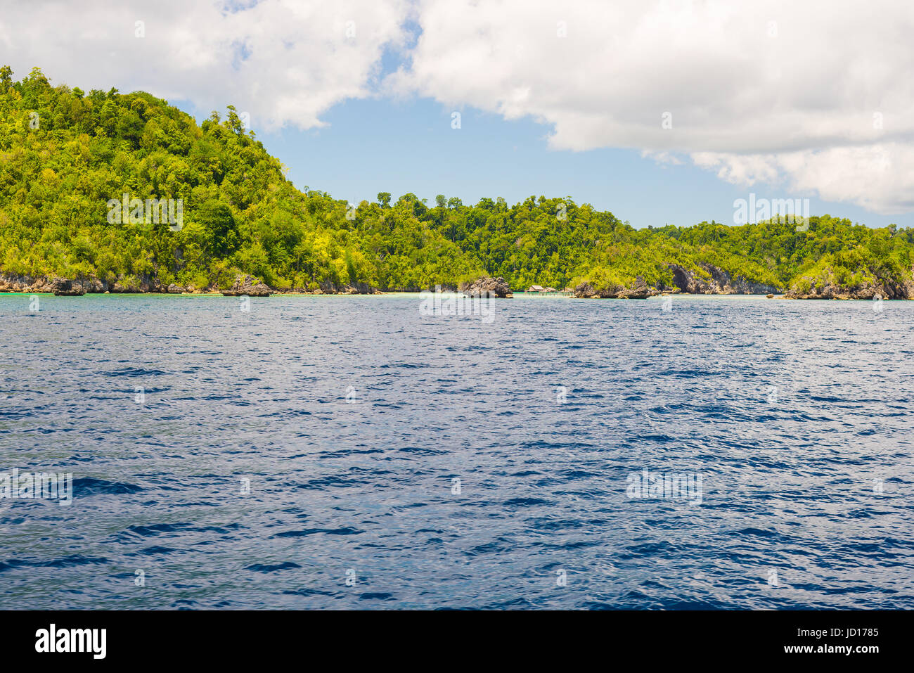 Rocky coastline of island spotted by islets and covered by dense lush ...